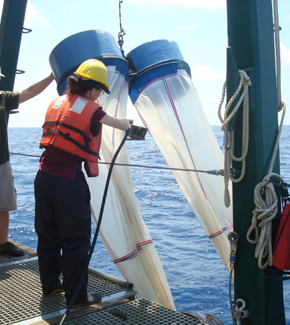 Environmental Monitor | Gulf Of Mexico Study Finds Oil Spill Carbon