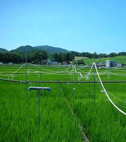 Environmental Monitor | Analysis of 13 studies shows elevated ...