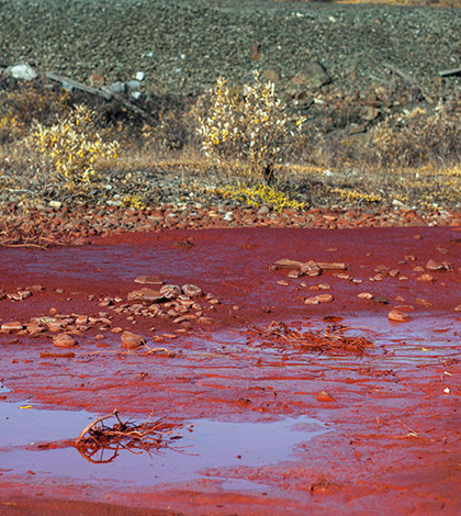 Environmental Monitor | Daldykan River In Russia Turns Red After Spill